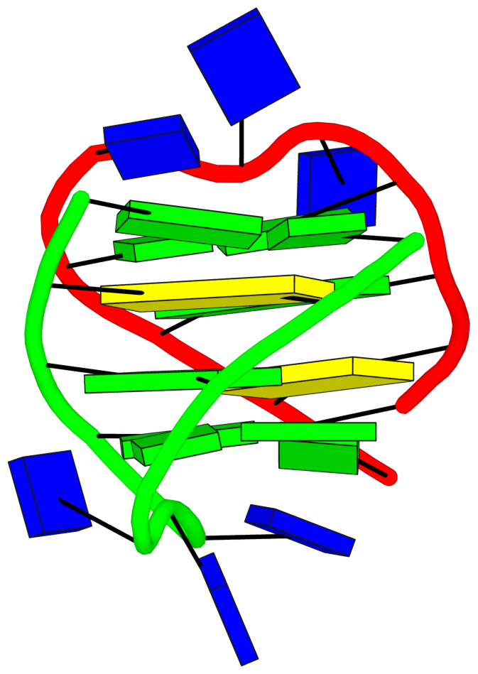 X3DNA-DSSR Homepage -- Nucleic Acid Structures